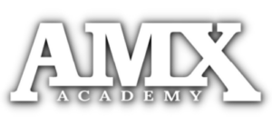 Company Overview - AMX